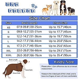 Due Felice Dog Surgery Suit Female Spay Recovery Suit for Dogs Neuter Onesie for Surgery Female Male Dog After Spayed Surgical Suit Purple/Medium