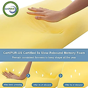 Anvo Memory Foam Pillow, Neck Contour Cervical Orthopedic Pillow for Sleeping Side Back Stomach Sleeper, Ergonomic Bed Pillow for Neck Pain - Blue White, Firm