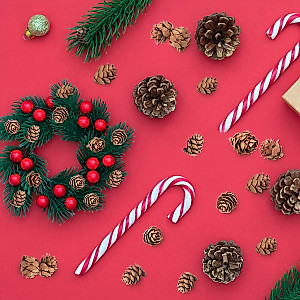 200PCS Christmas Natural Pine Cones Mini Pine Cones Fall Decorations Pinecones Ornaments Bulk Small Pine Cones for DIY Crafts Thanksgiving Fall Winter Christmas Wedding Decor Vase Filler Decor