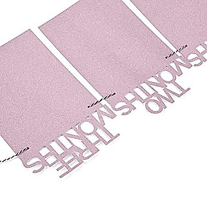 Toxz Kids Birthday Gift Photo Wall Decorations with 1-12 Month Milestone Photo Banner Monthly,Hangging Decor,for Kids Birthday Gift(Ship from US!)