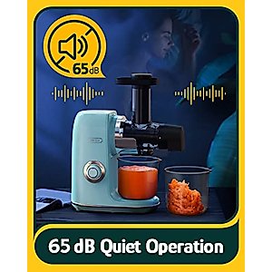 Hazel Quinn Masticating Juicer, Slow Cold Press Juicer Machines for Fruit and Vegetable, Easy to Clean, 2-Speed Modes & Reverse Function, 80 RPM Quiet Motor Below 65dB, Mint Green, Retro Style