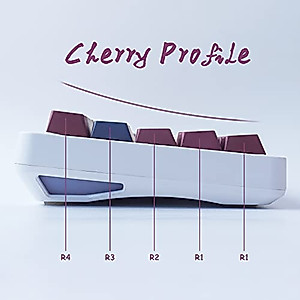 Tsungup PBT Keycaps, 145 Keys Cherry Profile Classic Game Console Keycaps Dye Sublimation with Japanese Keycaps 6.25U 7U Spacebar for Cherry MX Switches Mechanical Keyboards