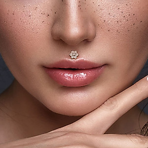 Dynamique Implant Grade Titanium Internally Threaded Labret, Flat Back Studs With 6 CZ Set Flower Top (Sold Per Piece)