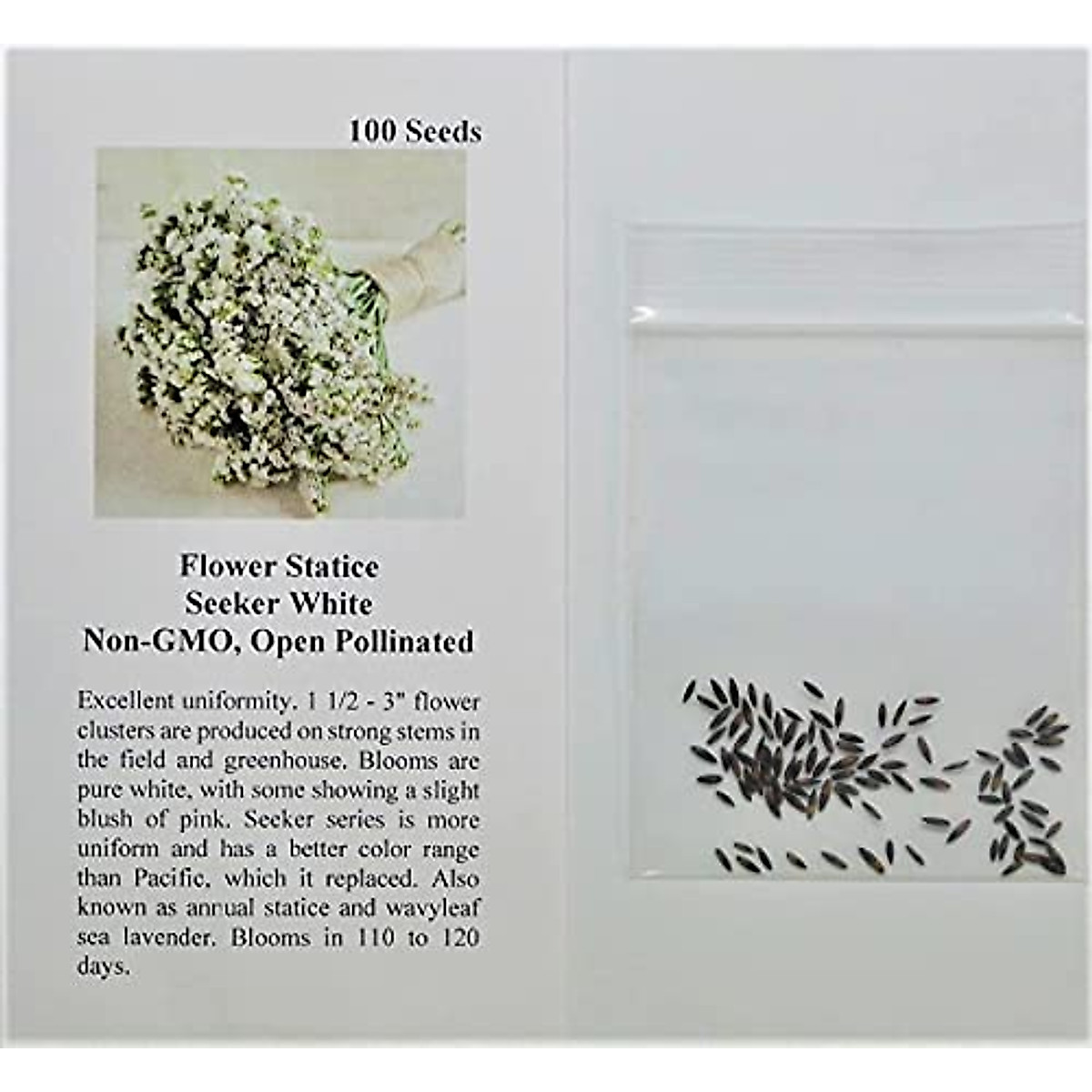 David's Garden Seeds Flower Statice Seeker White 3519 (White) 100 Non-GMO, Heirloom Seeds