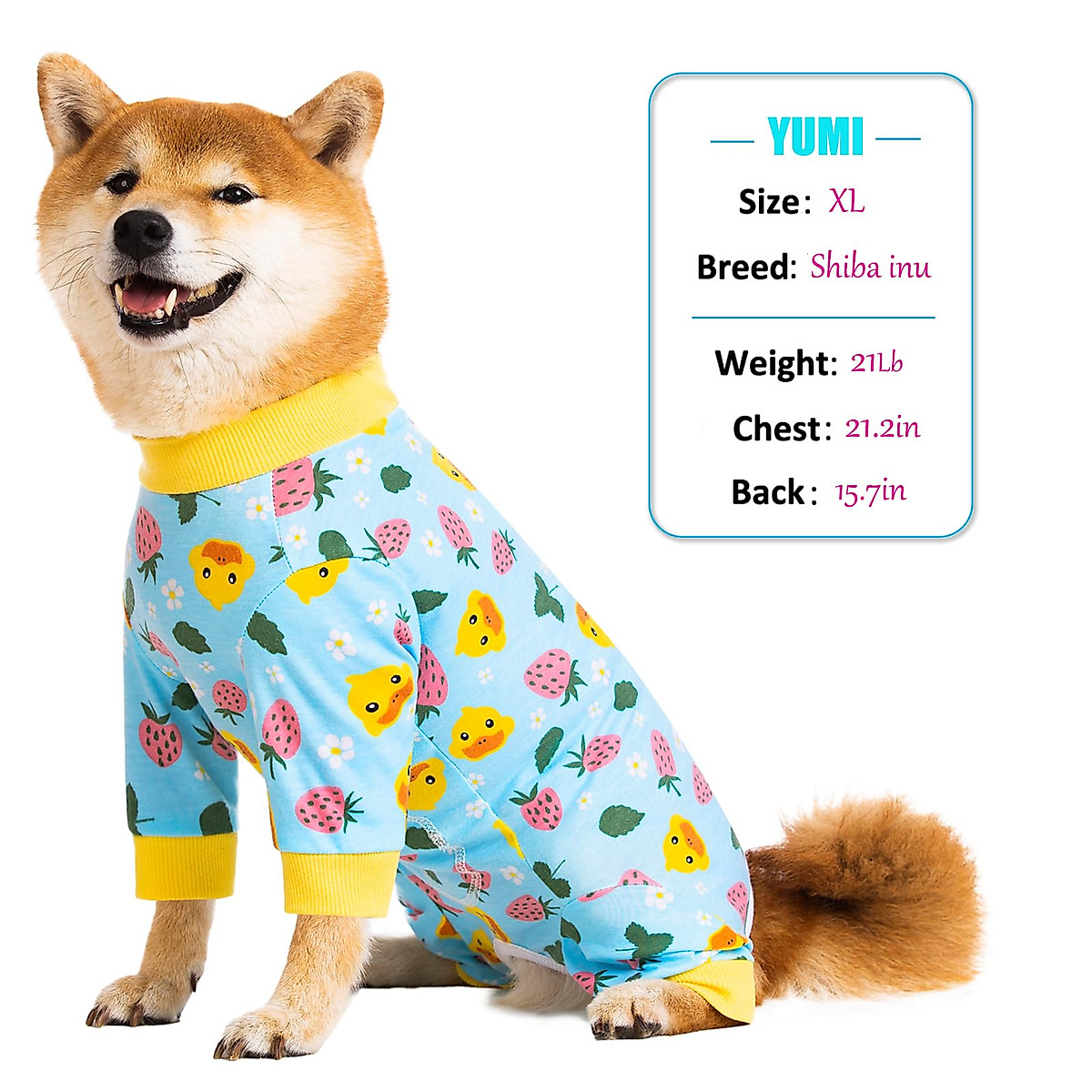 Pupsooft Dog Recovery Suit for Small Medium Large Dogs, Pet Onesie After Surgery Comfort Dog Bodysuit Anti Licking (Small, Blue)