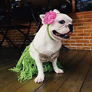 Pet Cat Clothes Bikini Cat Dog Costume Funny Pet Clothes Small Dog Costumes Clothes (Cloth-pet)