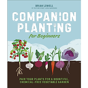Companion Planting for Beginners: Pair Your Plants for a Bountiful, Chemical-Free Vegetable Garden