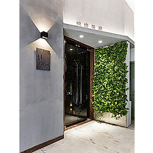 Pathson 20W Outdoor LED Wall Sconces 6000K White Light, Adjustable Aluminum Waterproof Exterior Wall Lights for Porch Garden Foyer Courtyard (Black, White Light)