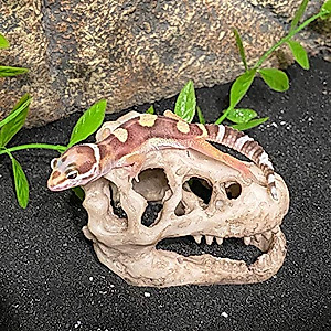MTGHYARE Dinosaur Aquarium Decorations Skull Aquarium Ornament Mini Dinosaur Mold Decoration Tank Reptile Hide Decor with Holes Aquarium Landscape Reptile Betta Fish Hideout Caves