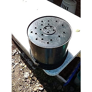 RedWigglersFarm – 1/2 LBS (Approximately 500 Worms) Premium Red Worms, Red Wigglers Composting Worms, Organic Sustainably Raised, Live Worms, Eisenia fetida, Home Compost Worms, Soil Regeneration