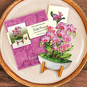 Freshcut Paper Pop Up Cards, 6 Inch Mini Sized Forever Flower Bouquet 3D Popup Greeting Cards, Birthday Gift Cards, Birthday Gifts with Note Card and Envelope, Mini Orchid Oasis