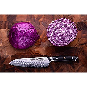 EAGLES KITCHENWARE Chef's Knife – Eagles Power Series – AUS10 Japanese Super Steel – Vacuum treated– Gift Box & Blade Guard (7" Chef's Knife)