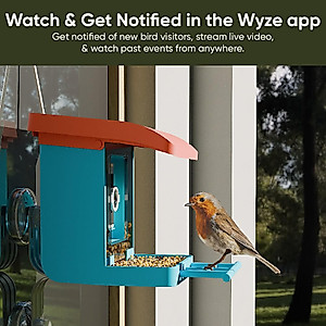Bird Feeder Camera Case Compatible with Wyze Battery Camera Pro, Wyze Cam Outdoor v1/v2, Wyze Camera v4/v3/v3 Pro, 5 DIY Mounting Methods, Equipped with a Macro Lens (Camera NOT Included)