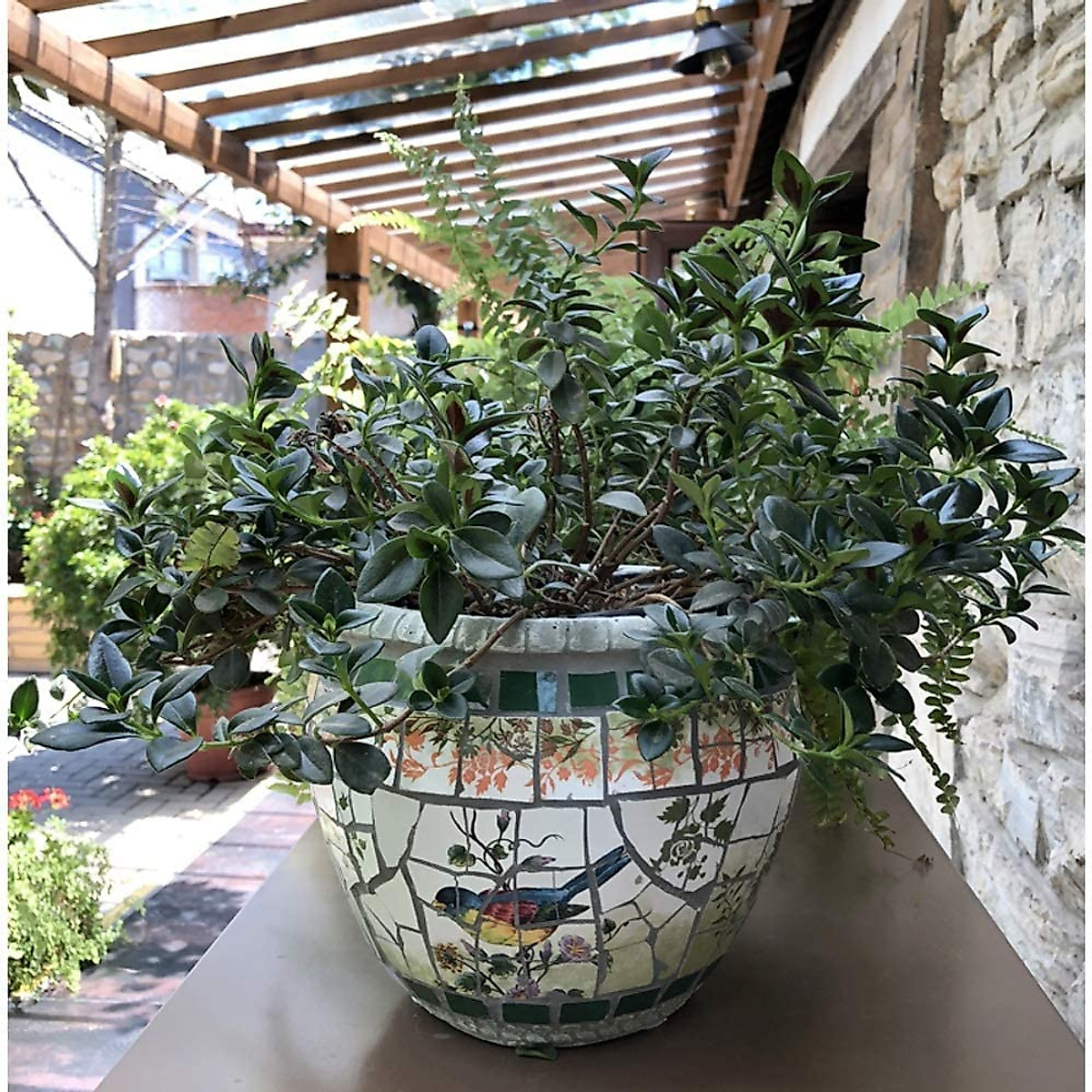 UimimiU Large Ceramic Mosaic Flower Pot for Gardens