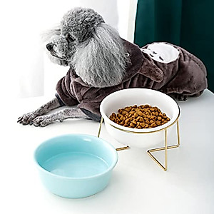 Balacoo 2pcs Container for Kitten Ceramic Pets Stress Care- Dog Gold Cervical Dispenser Iron Blue Dish Stand Use Slant Tilted Pet Dishes with Titled Puppy High Food Eating Free