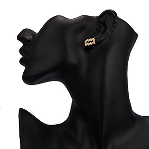 18K Gold Plated Zodiac Stud Earrings 12 Constellation Astrology Card Packaging Horoscope 18K Gold Plated Little Ear Stud for Women Birthday Anniversary Friendship Exquisite Jewelry Gift-Taurus