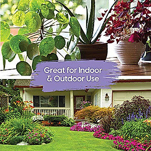 Bangerz Sunz Elephant Watering Can, 2 qts, Novelty Indoor Watering Can, Decorative and Functional Watering Can (63182) 0.5 Gallons, Gray