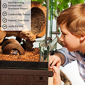 SunGrow Hermit Crab Huts, 5x3 Inches, Arthropod's Coconut Hide, Spacious Coco Tunnel, Use as Hermit Cave or Climber, 3-Pcs