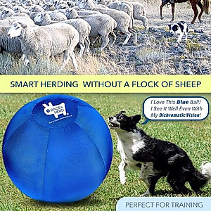 Race&Herd Herding Ball for Dogs Blue Heelers, Horse Ball & Ball Cover - 25" Ball for Horses Large with Hand Pump | for Play Hurding Ball |Hearding Ball Horse Toys for Horses Stall