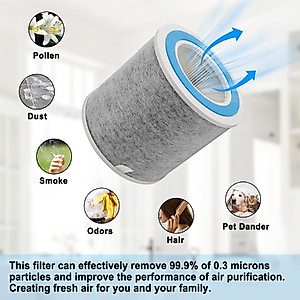 HP102 True HEPA Replacement Filter Compatible with Shark Air Purifier HP100, HP102, HC450, HC451, HC452, HC455, Compares to Part # HE1FKBAS and HE1FKPET 2PACK