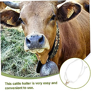 BESPORTBLE 4pcs Bull Bridle Cowboys Lanyard Adjustable Rope Halter frenos para caballos Calf Halter Poly Rope Iron White Cattle Supplies Safety Halter Portable Cattle Halter Simple Suspenders