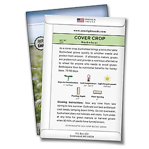 Sow Right Seeds - Annual Buckwheat Seed for Planting - Cover Crops to Plant in Your Home Vegetable Garden - Enriches Soil - Suppresses Weeds - Helps Erosion - Non-GMO Heirloom Seeds - Gardening Gift