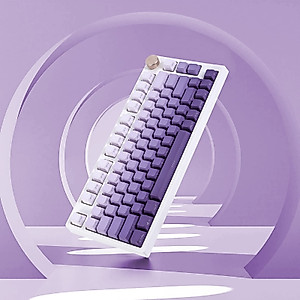 JOLINTAL 134 Keys Gradient Purple Keycaps, PBT Double Shot Dying Keycaps, OEM Side Print Keycaps Custom Keycaps Set, Shine Through Keycaps Cherry Mx Backlit Keycaps for Mechanical Gaming Keyboard