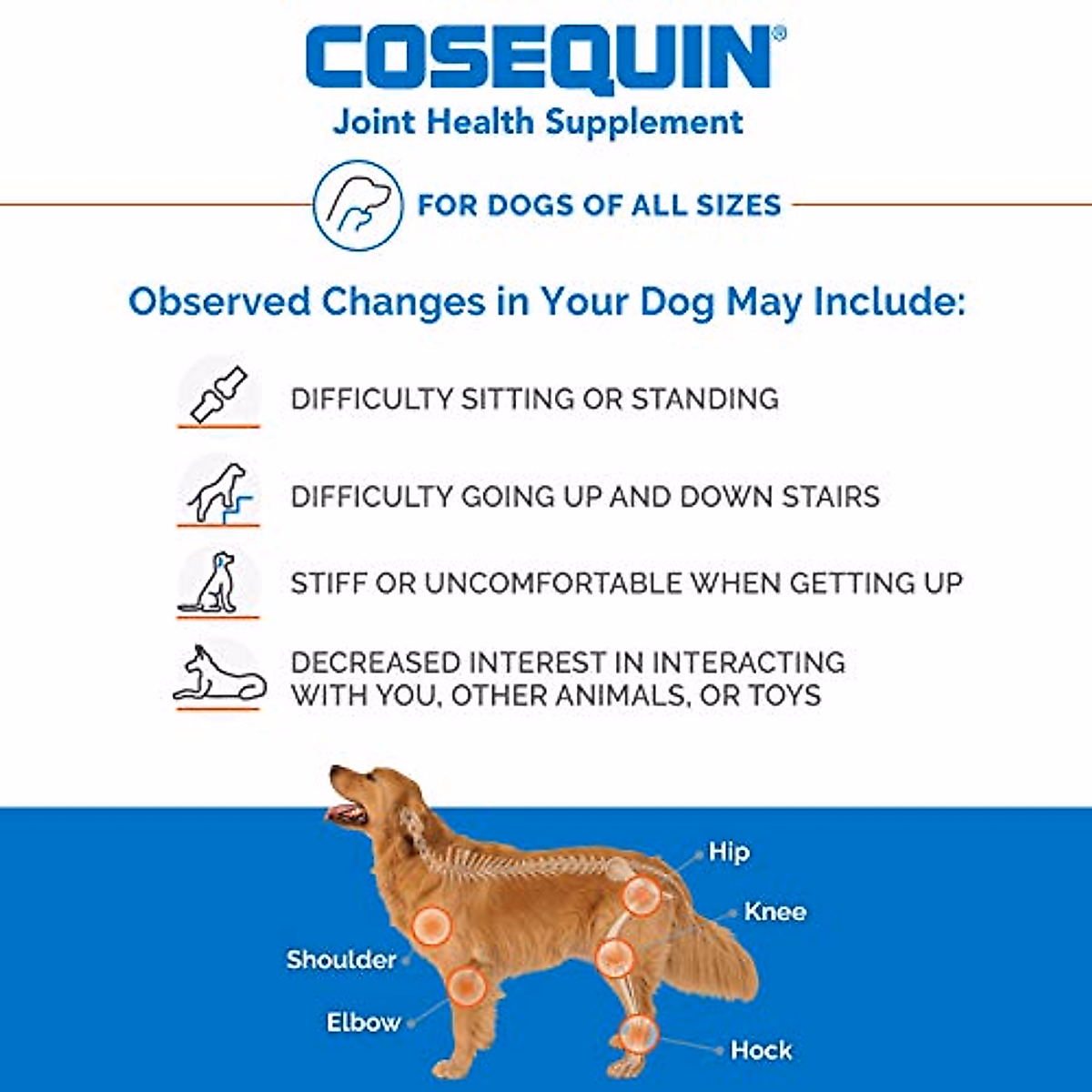 Nutramax Cosequin Standard Strength Joint Health Supplement for Dogs, With Glucosamine and MSM, 75 Chewable Tablets