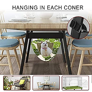 ONENIN Cat Cage Hammock,Hanging Soft Pet Bed for Kitten Ferret Puppy Rabbit or Small Pet,Double Layer Hanging Bed for Pets,2 Level Indoor Bag for Spring/Summer/Winter (Green & White)