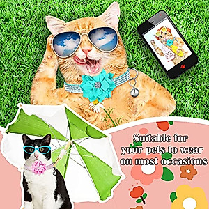 6 Pcs Cat Collars for Girl Cats Bling Kitten Collar with Bell and Flower Glitter Cat Collars Soft Velvet Cute Dog Collar with Buckle Shine Puppy Collar (7.9-9.8 inch)