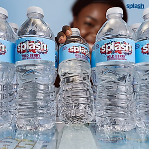 Splash Refresher, Wild Berry Flavor Water Beverage, 16.9 Fl Oz Plastic Bottles (24 Count)