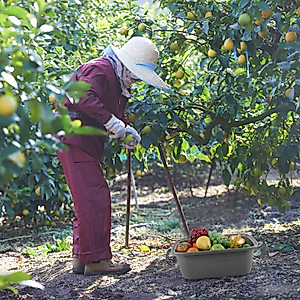 Ggbin Plastic Wash Basin, 16 Quart Dish Tubs, 3 Packs