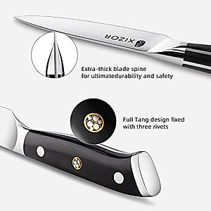 XIZOR Paring Knife 3.5 Inch Fruit and Vegetable Knife Multi-Purpose Japanese Peeling Knife High Carbon German Steel Full Tang Handle & Ergonomic Design,Small,Razor Sharp Blade