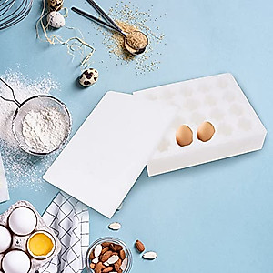 Mobestech Foam Egg Cartons 2pcs Proof Crate Storage Storing Dampening Holder for Pe Padding Container Containers Practical Fixing Fixator Egg No Sound Grids Foam Resistant Kitchen Cushion