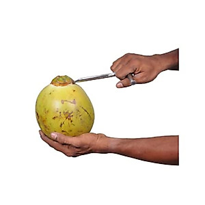 SynSpiritStore Heavy Duty Food Grade Stainless Steel Tender Green Coconut Opener, Pack of 1