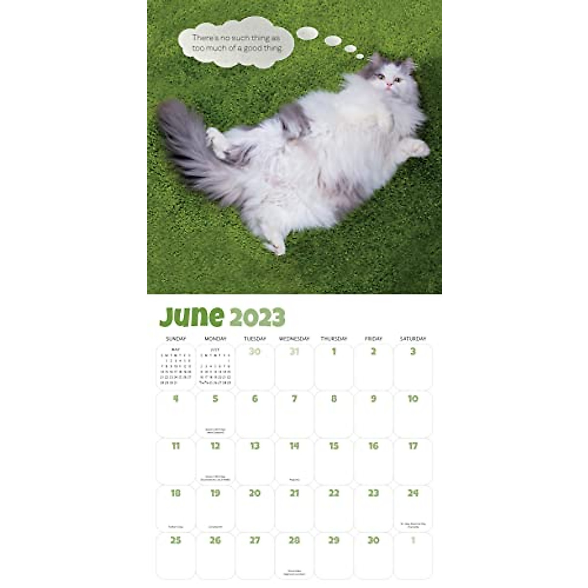 Chonkers Wall Calendar 2023: Irresistible Photos of Snozzy, Chonky Floofers Paired with Relaxation-Themed Quotes