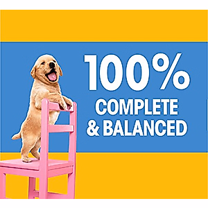 PEDIGREE Puppy Growth & Protection Dry Dog Food Chicken & Vegetable Flavor, 16.3 lb. Bag