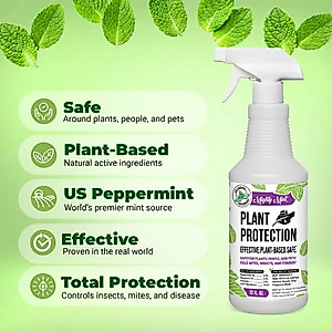 Mighty Mint 32oz Plant Protection Peppermint Spray for Spider Mites, Insects, Fungus, and Disease