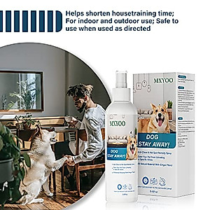 MXYOO Dog Stay Away Spray, Training Your Dog Where Not to Urinate, Training Corrector Pets Deterrent, Indoor & Outdoor Use, No More Marking