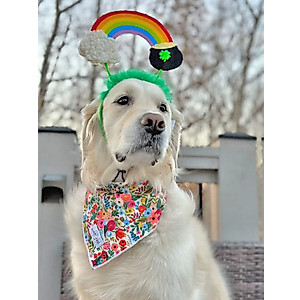 Midlee St. Patrick's Rainbow Pot of Gold Dog Headband