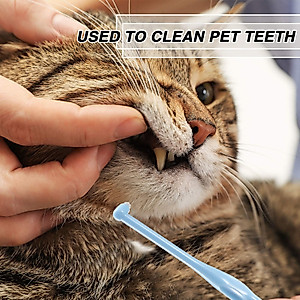 Patelai 6 Pieces End Tuft Toothbrush Soft Interdental Brushes Tooth Stain Remover Trim Toothbrush Single Brush for Implants Teeth Detail Cleaning Supplies(Bright Colors)