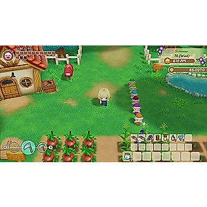 Story of Seasons - Friends Of Mineral Town (Nintendo Switch)