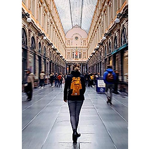 4Monster Hiking Daypack,Water Resistant Lightweight Packable Backpack for Travel Camping Outdoor (A-orange, 16L)