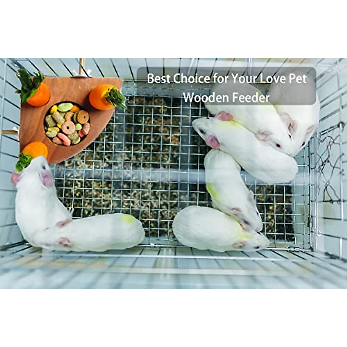 CooShou Hamsters Feeder Bowl Small Animals Guinea Pigs Corner Wooden Feeder Dishes with 3pcs Carrots Cage Feeder for Guinea Pigs, Hamster, Chinchilla Hedgehog Gerbil