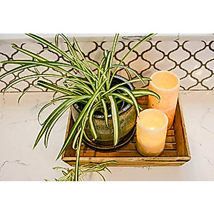 Admired By Nature Natural Wood Large Shallow Square Crate with Metal Corner Design, 020-NTRL