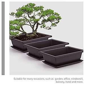 DOITOOL 5PCS Rectangular Bonsai Training Pot , 6.5 inch Plastic Bonsai Pot with Drainage Hole, Small Bonsai Planter Pot for Desktop Decoration Nursery, Garden, Balcony