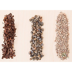 Bonsai Succulent and Cactus Soil - Jacks Gritty Mix #111 - Fast Draining – Fights Root Rot – Optimized pH (1/2 Gallon / 2 Dry Quarts)