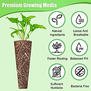 320 Pcs Hydroponic Growing Kit Includes 80 Grow Sponges Seedling Starter Sponges, 80 Grow Baskets, 80 Grow Domes and 80 Pod Labels Hydroponics Garden Accessories for Indoor Plant Herb Growing System