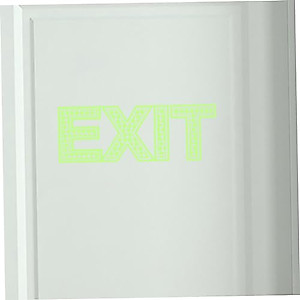Homoyoyo 1set Export Sticker Signs Stickers Way Indicator Sticker Emergency Exit Sign Floor Guide Sticker Exit Decals Glowing Sticker Ire Exit Signage Adhesive Exit Sticker The Pet 2sheets