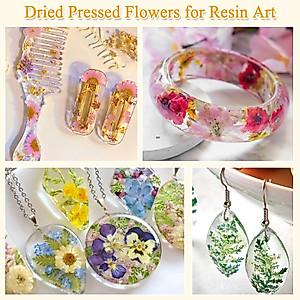 6 Sheets Dried Pressed Flowers for Crafts, Real Dried Florals and Leaves for Scrapbooking Resin Jewelry Molds Candle Soap Making Nail Art Makeup